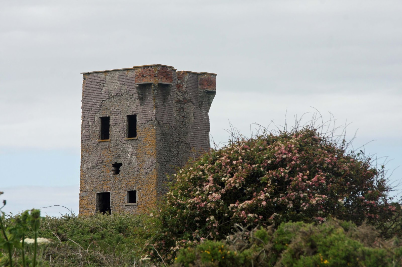 A Walk in Knockadoon