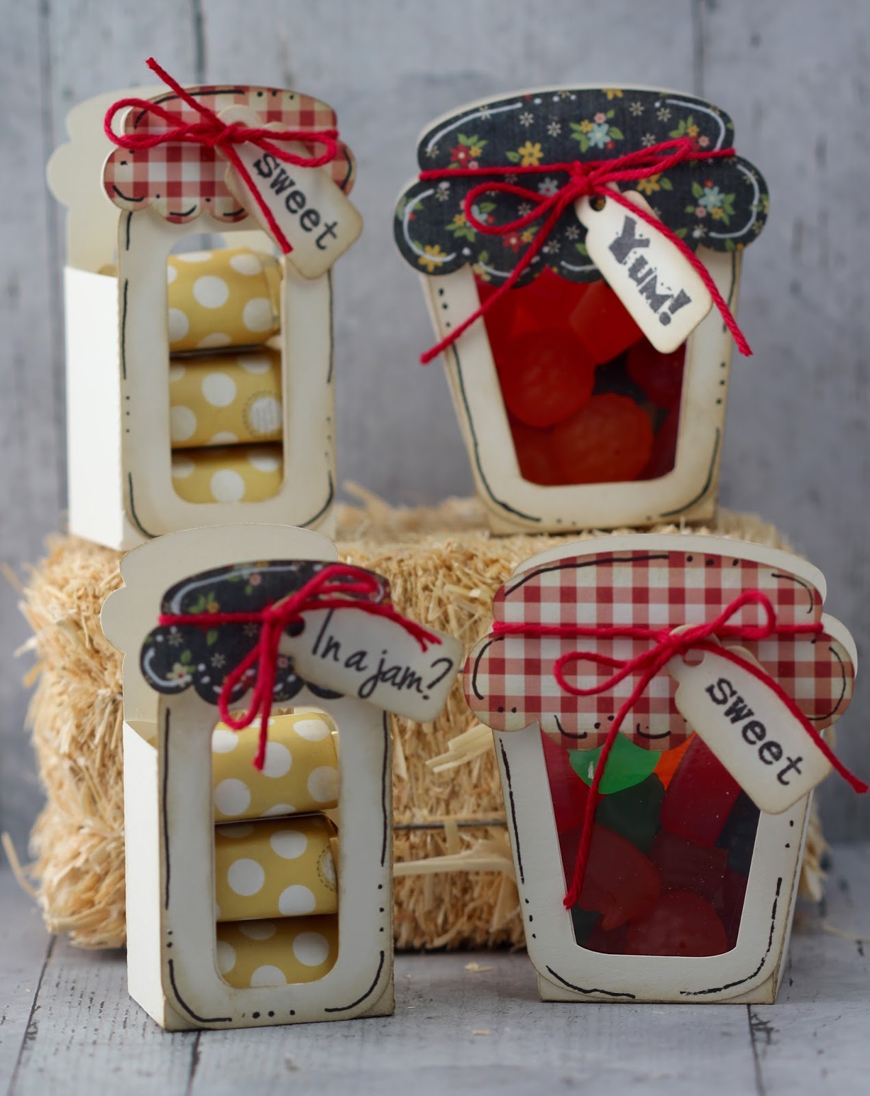 This and That: Cute Little Canning Jars