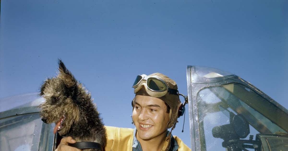 World War II in Color: Scrappy, the Yorktown Ship's Mascot