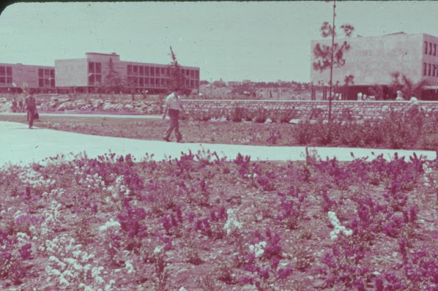 Israel in the 1950s Through Amazing Color Pics ~ Vintage Everyday