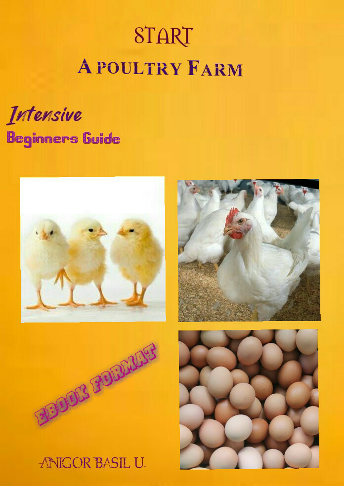 Poultry Business
