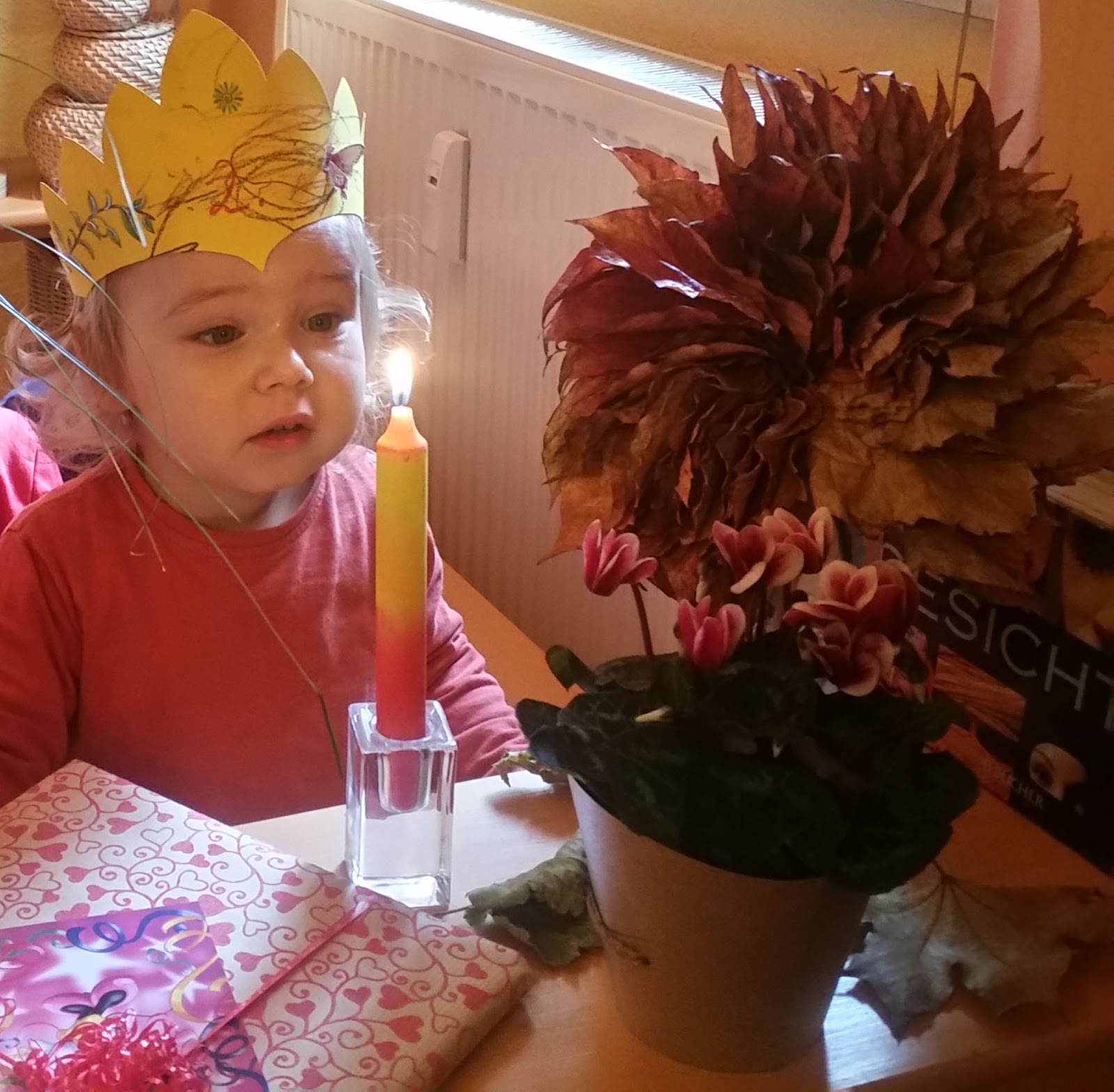 BARFUSS IM GRAS: Wir feiern eine Party