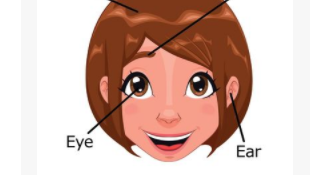 Ingles básico para niños : Partes de la cara (Parts of the face)