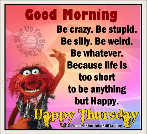Be Crazy, Stupid and Silly Its Happy Thursday