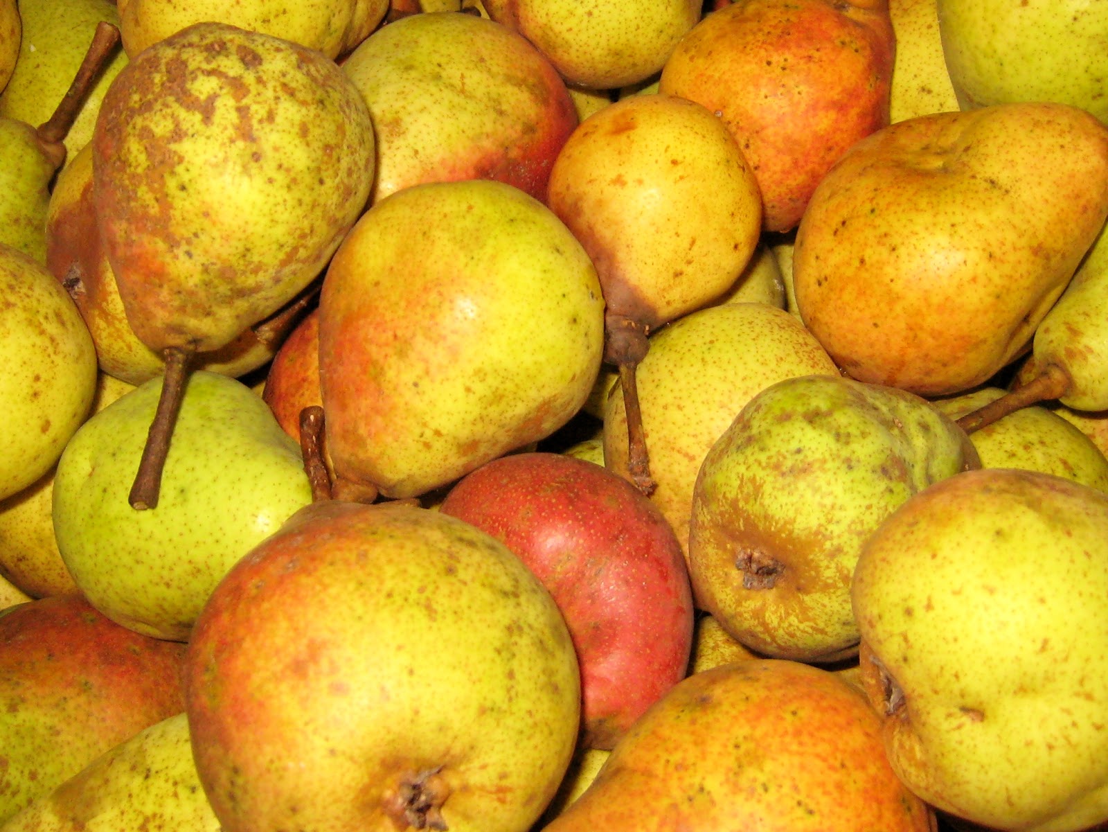 Ironwood Hollow: Strawberry Pear Locavore Mead