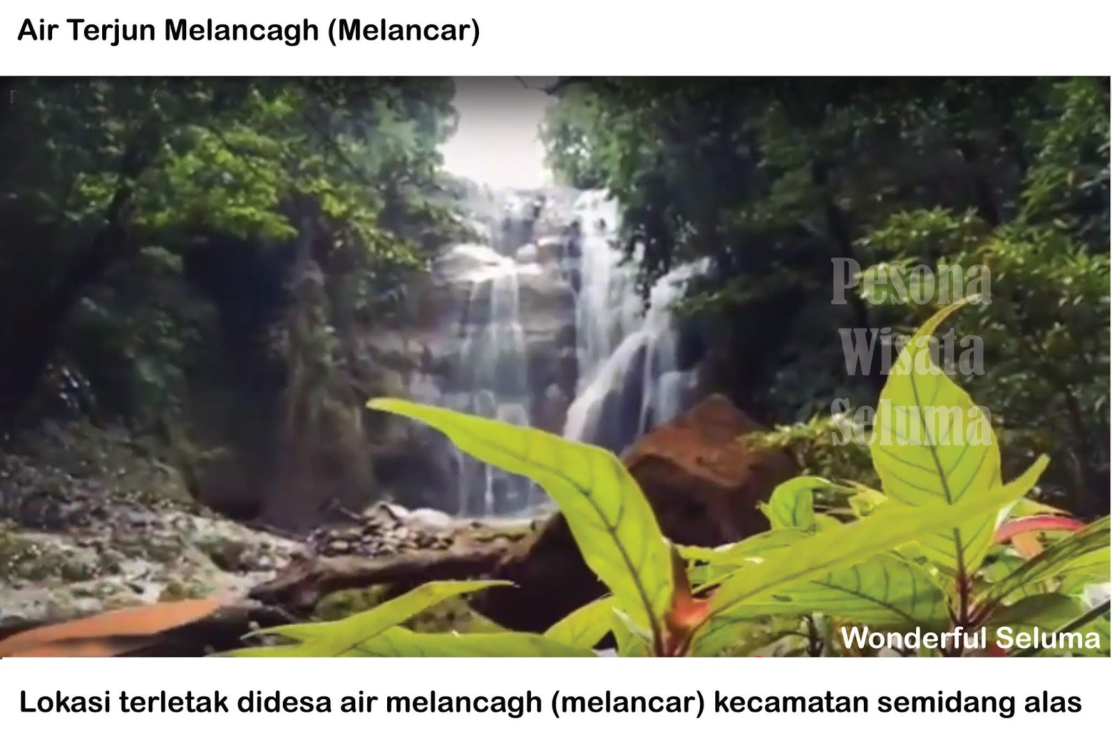 TEMPAT WISATA SELUMA, BENGKULU TERBARU YANG WAJIB DIKUNJUNGI BERSAMA ...