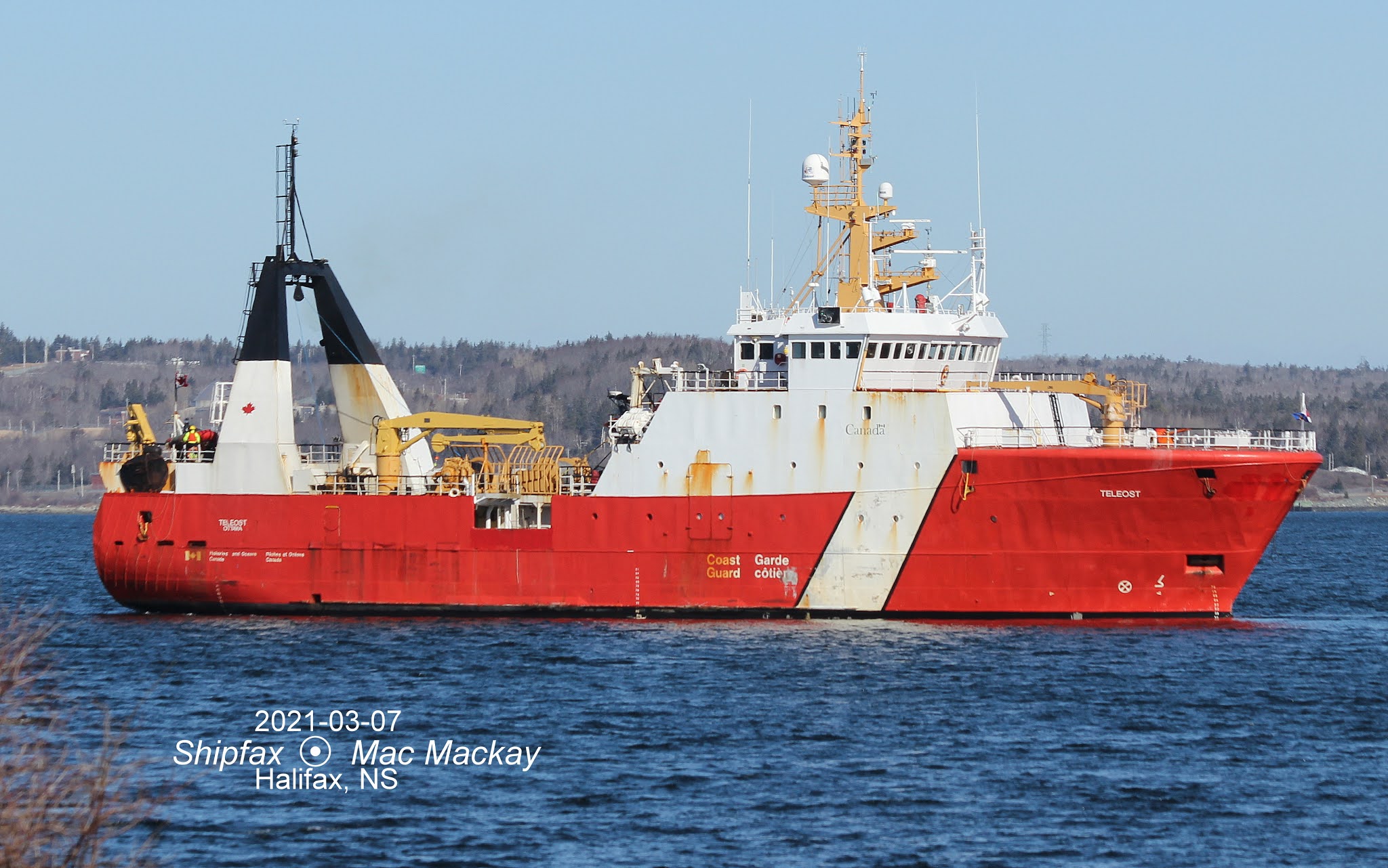 Shipfax: Teleost Troubles