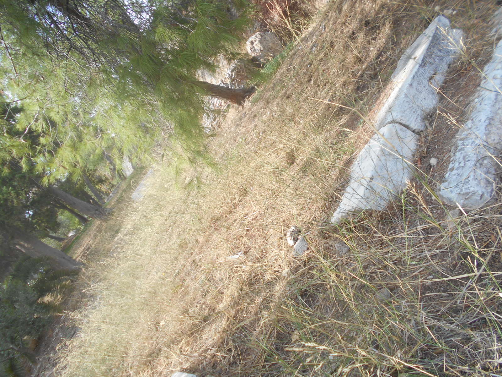 http://Axieros.blogspot.com: 2017