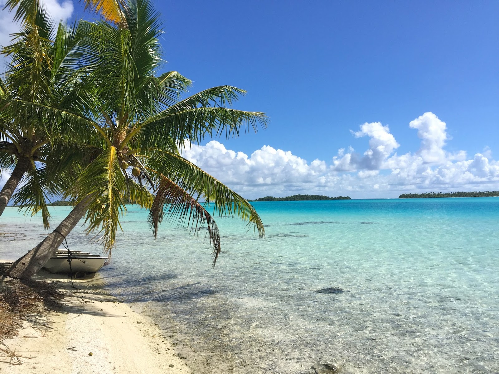 Polinésia Francesa e a ilha de Rangiroa, por Thais Eller | Apaixonados ...
