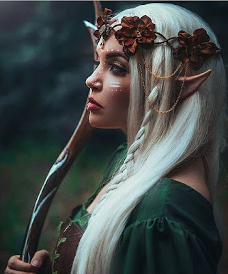 El bosque de las brujas, hadas y magos : El mundo de las Hadas y los Elfos