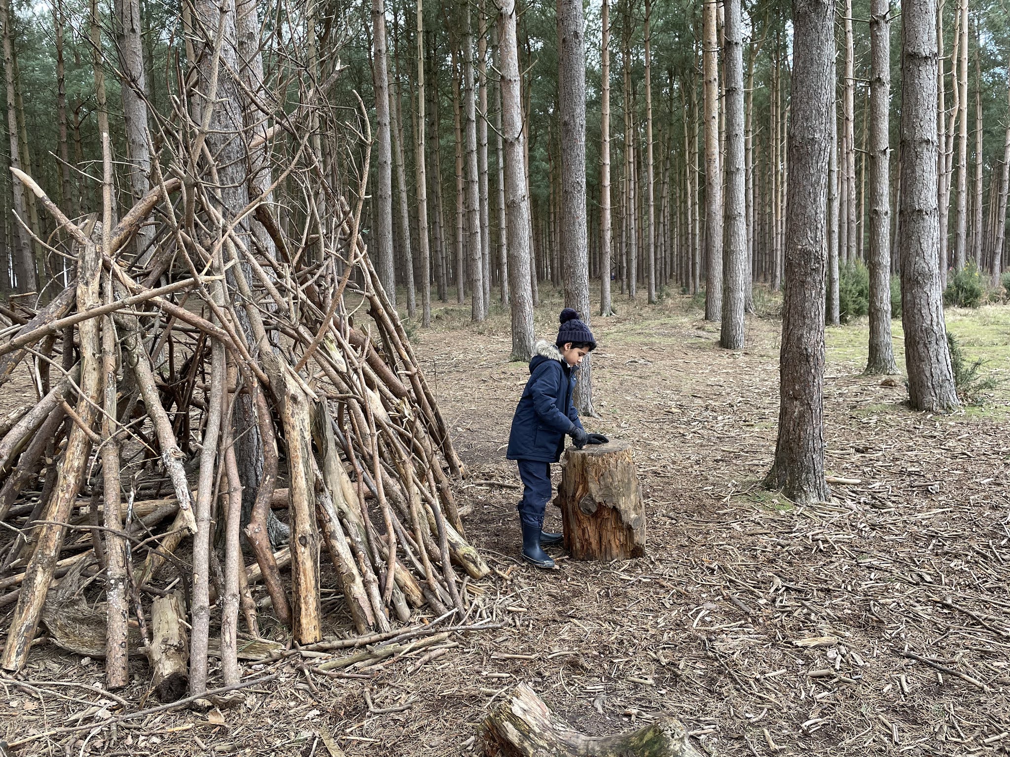 Den Building By Shaan & Roshan