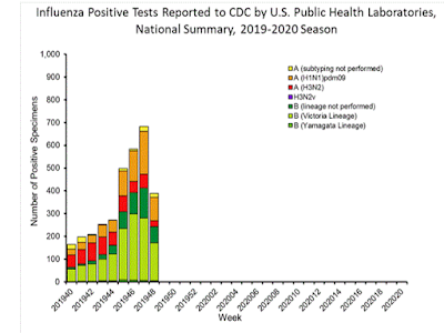 Avian Flu Diary: CDC FluView Week 48: Influenza B dominates