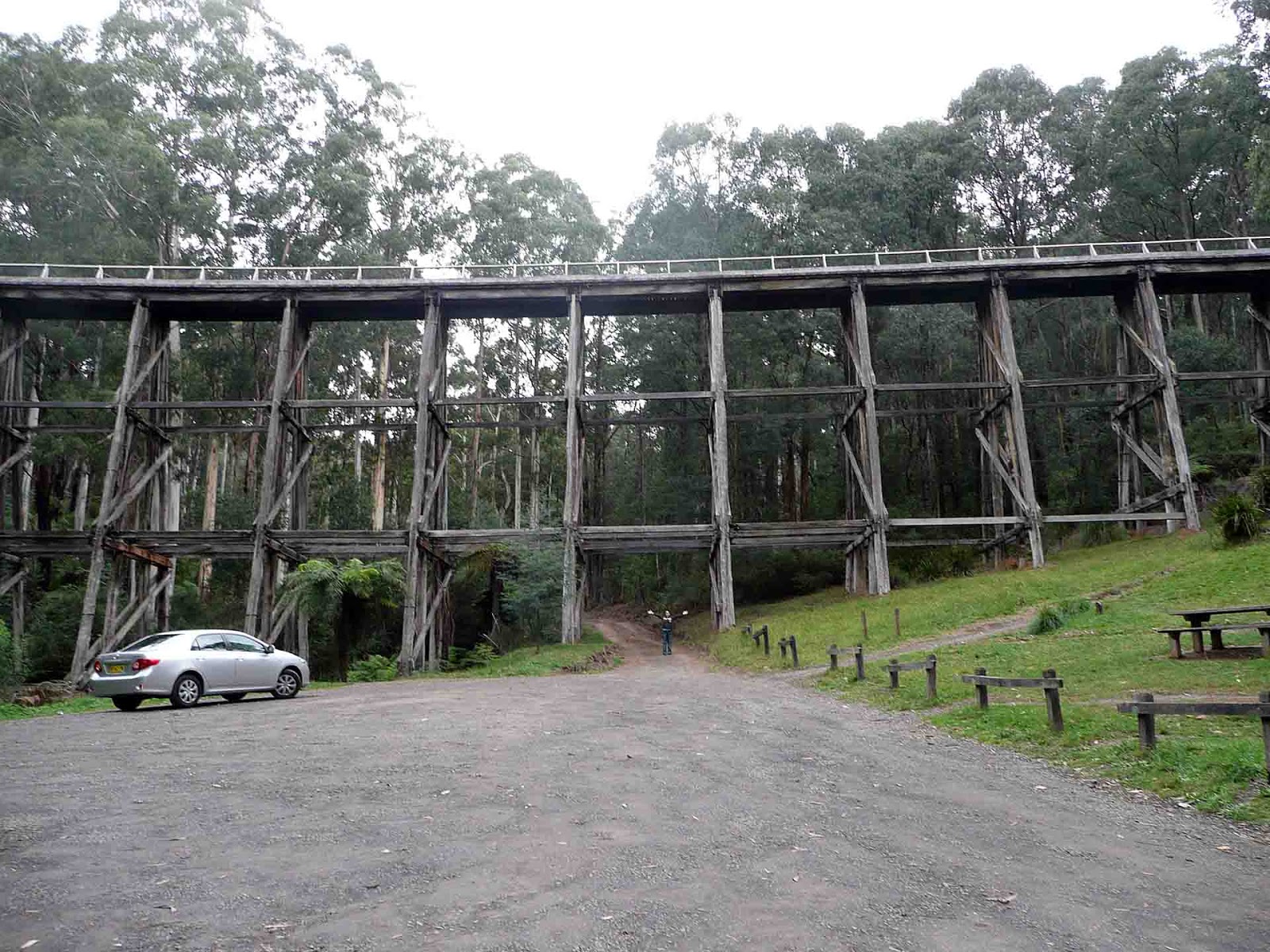 Abandoned But Not Forgotten: Noojee Line - Bridge Number 7