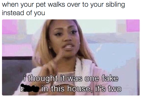 These Sibling Memes Only Make Sense To People With Siblings. (18 Pics ...