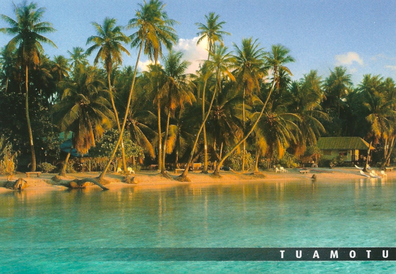 My Favorite Views: French Polynesia - Tuamotu Islands - Beach of Ahe