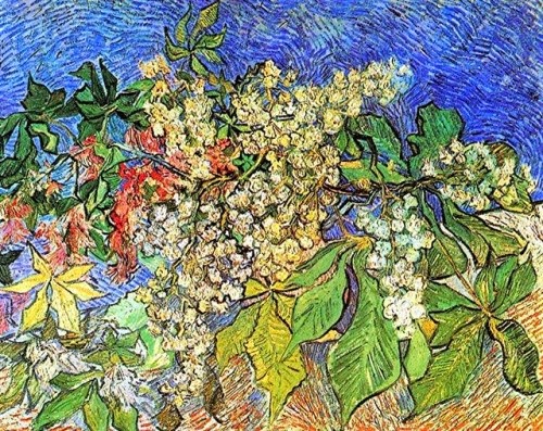 Les carnets de Louis Butin: La seule et véridique origine de l ...