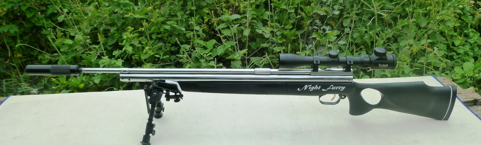 Senapan Angin Gas Compressed Air: Senapan Sniper