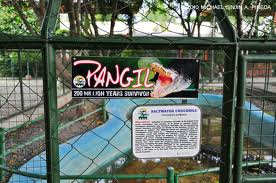 Make It Davao: June 2011