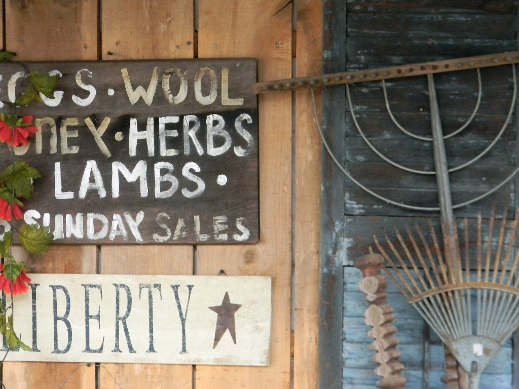 Notforgotten Farm : Sunday Morning Picture Walk ~ and other Good Things