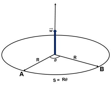 Aceleración en el Movimiento Circular de una Particula