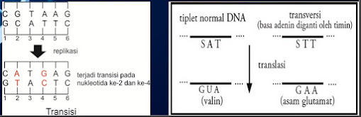 Melek Perikanan: Bioteknologi Mutasi Dan Mutasi Gen