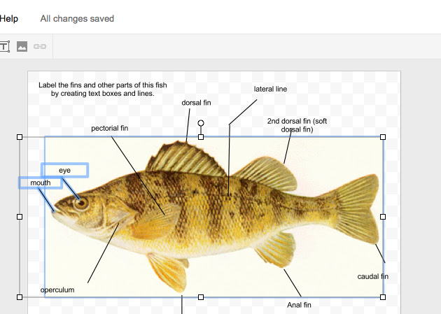 Quick and Easy Teacher Tech: Label a fish or anything else.