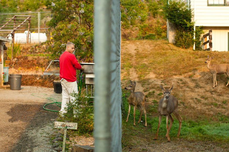 curiosities of change: Sustainable Prisons Project for The New York Times