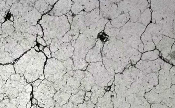 Ultimate Tips to Prevent Crazing in Concrete