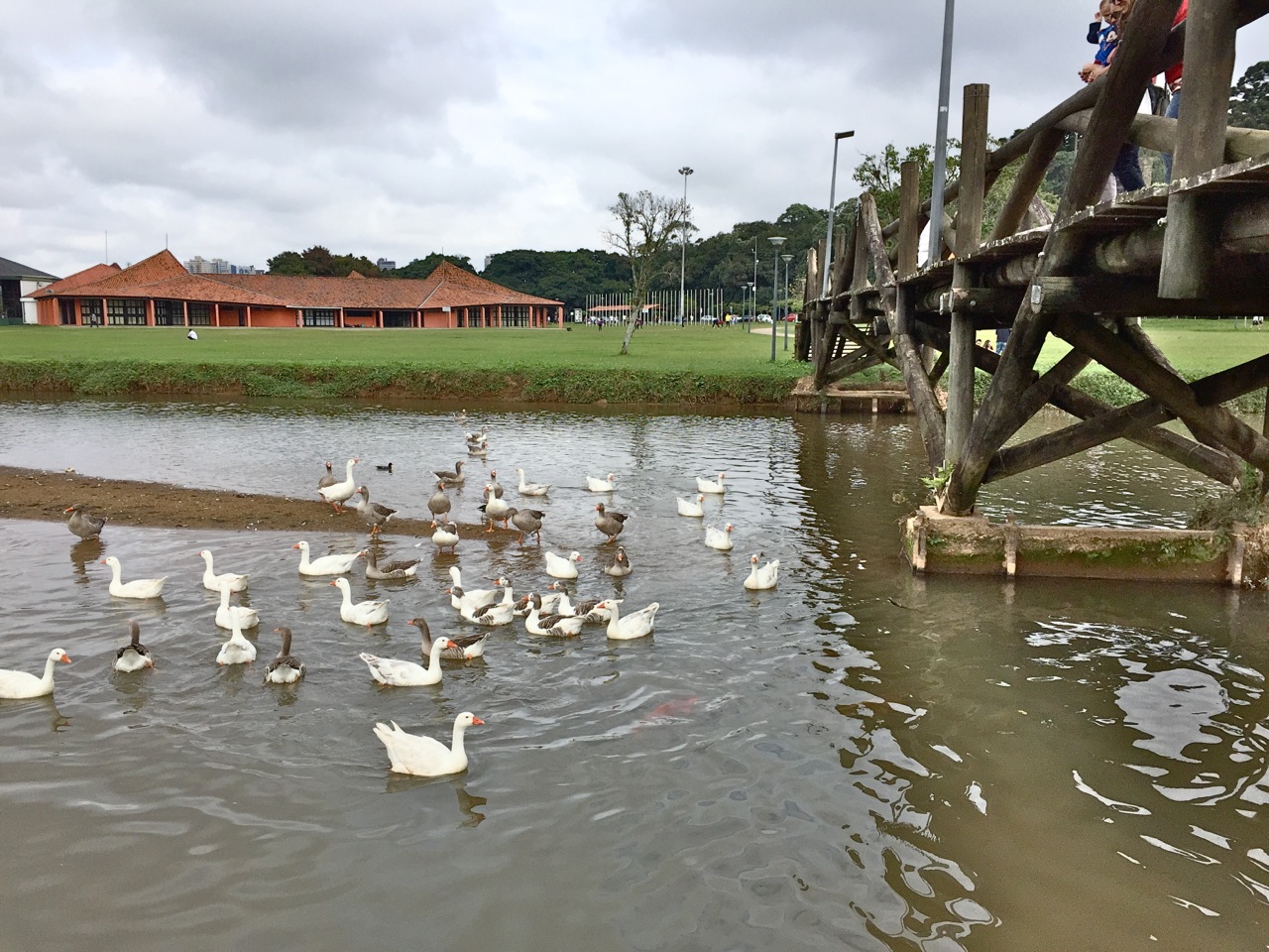 Parque Barigui em Curitiba ~ Áreas Verdes das Cidades - Guia de Parques