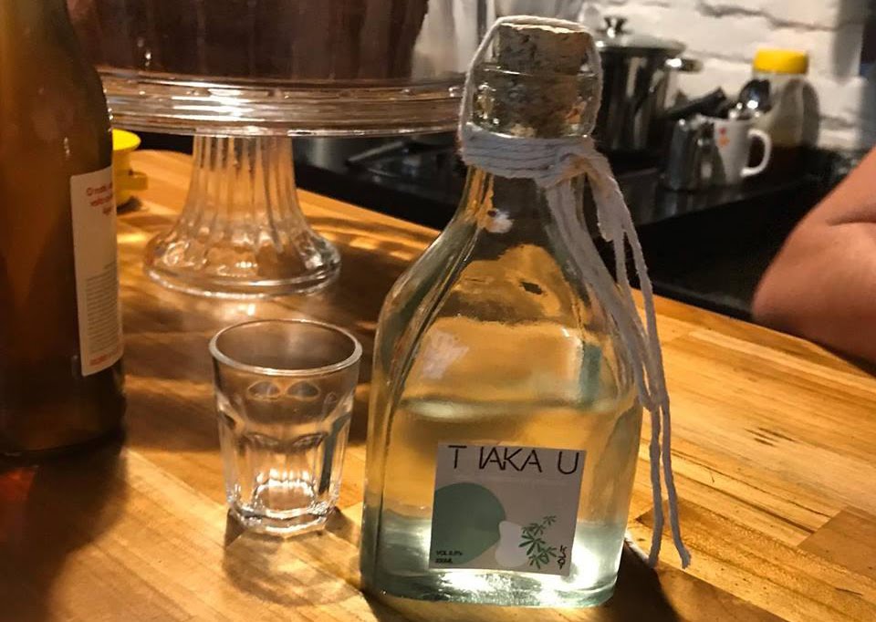 Povos Indígenas Brasileiros: Bororo