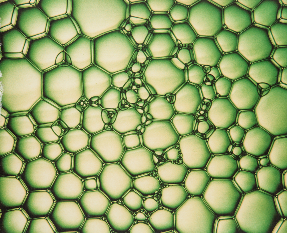 Michael Boran: The Palace of Bubbles