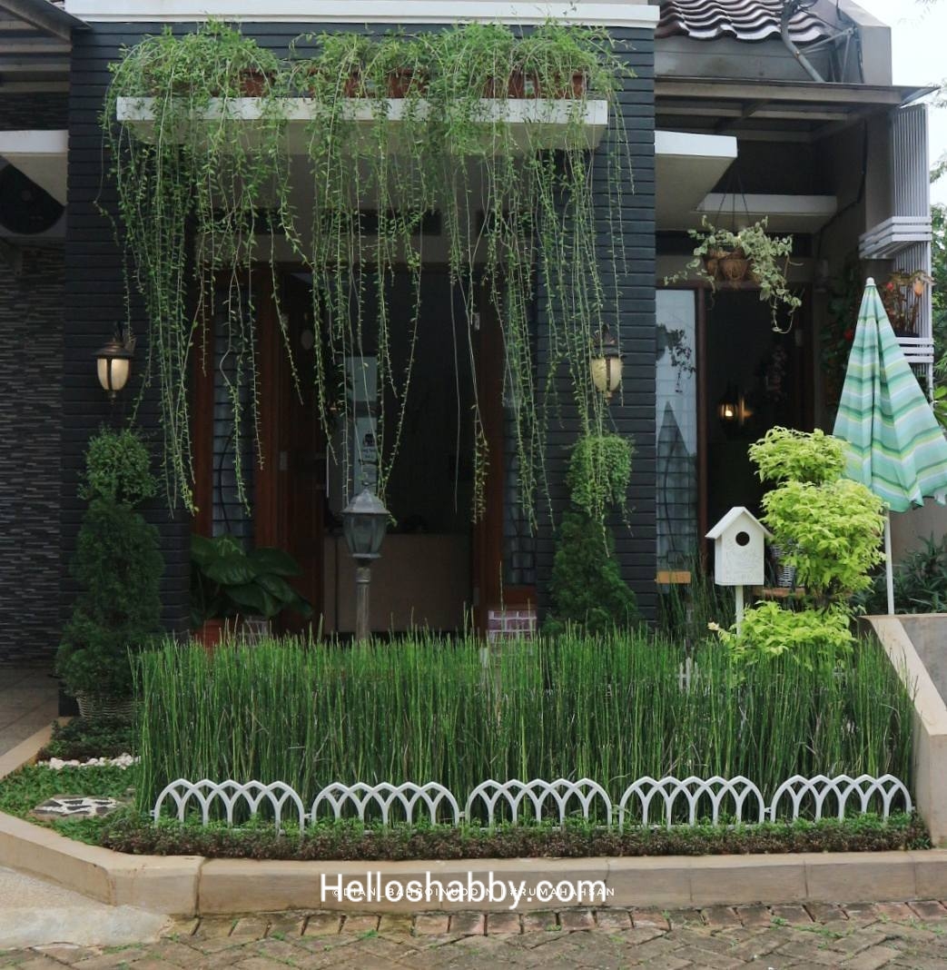 6 Ide Desain Pagar Tanaman Minimalis Keren Untuk Halaman Rumah Anda ...