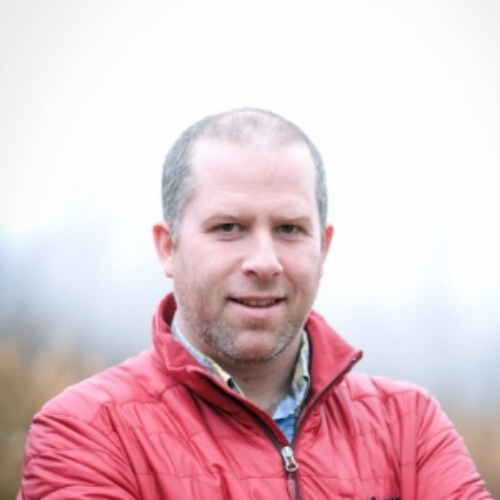 TORRE DE BABEL: agosto 2017