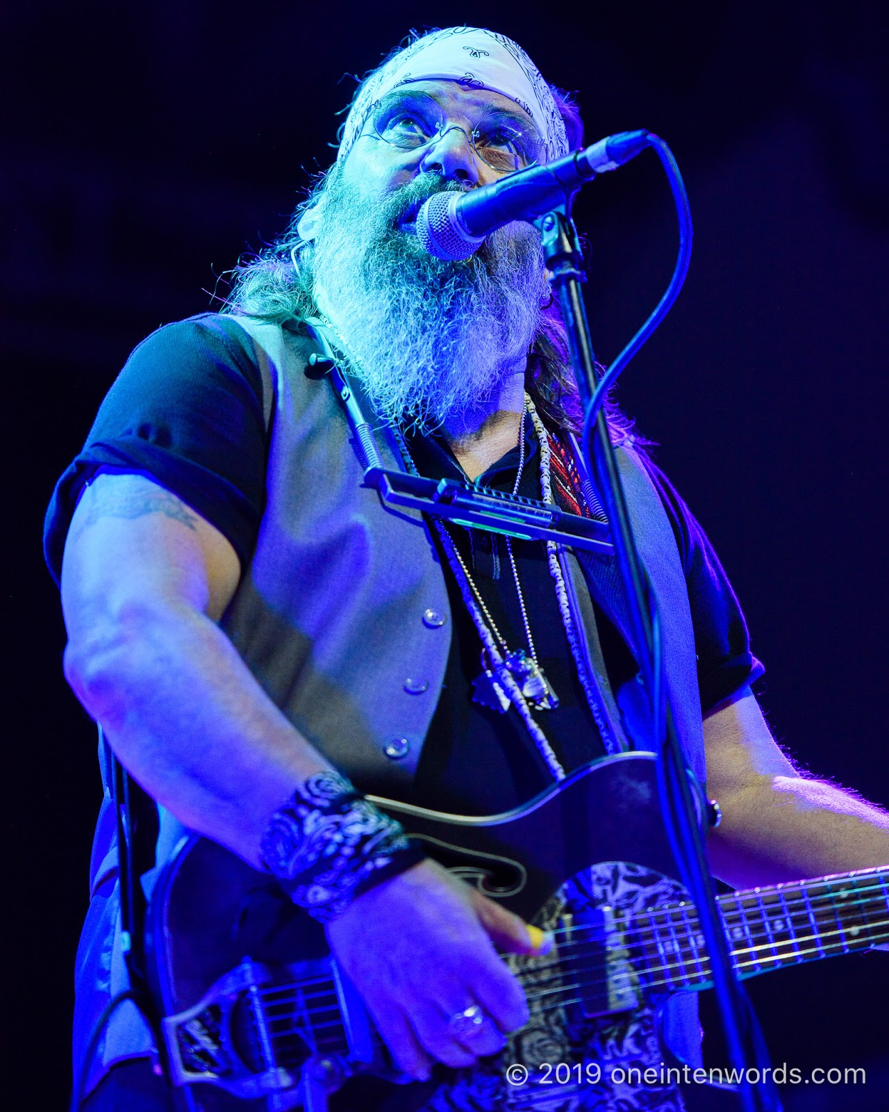 one in ten words: Hillside 2019: Day 2: Steve Earle & The Dukes ...