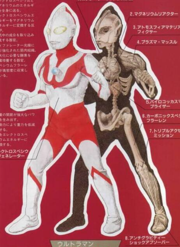 Bulge Of The Ultra-Warrior: Ultraman Anatomy