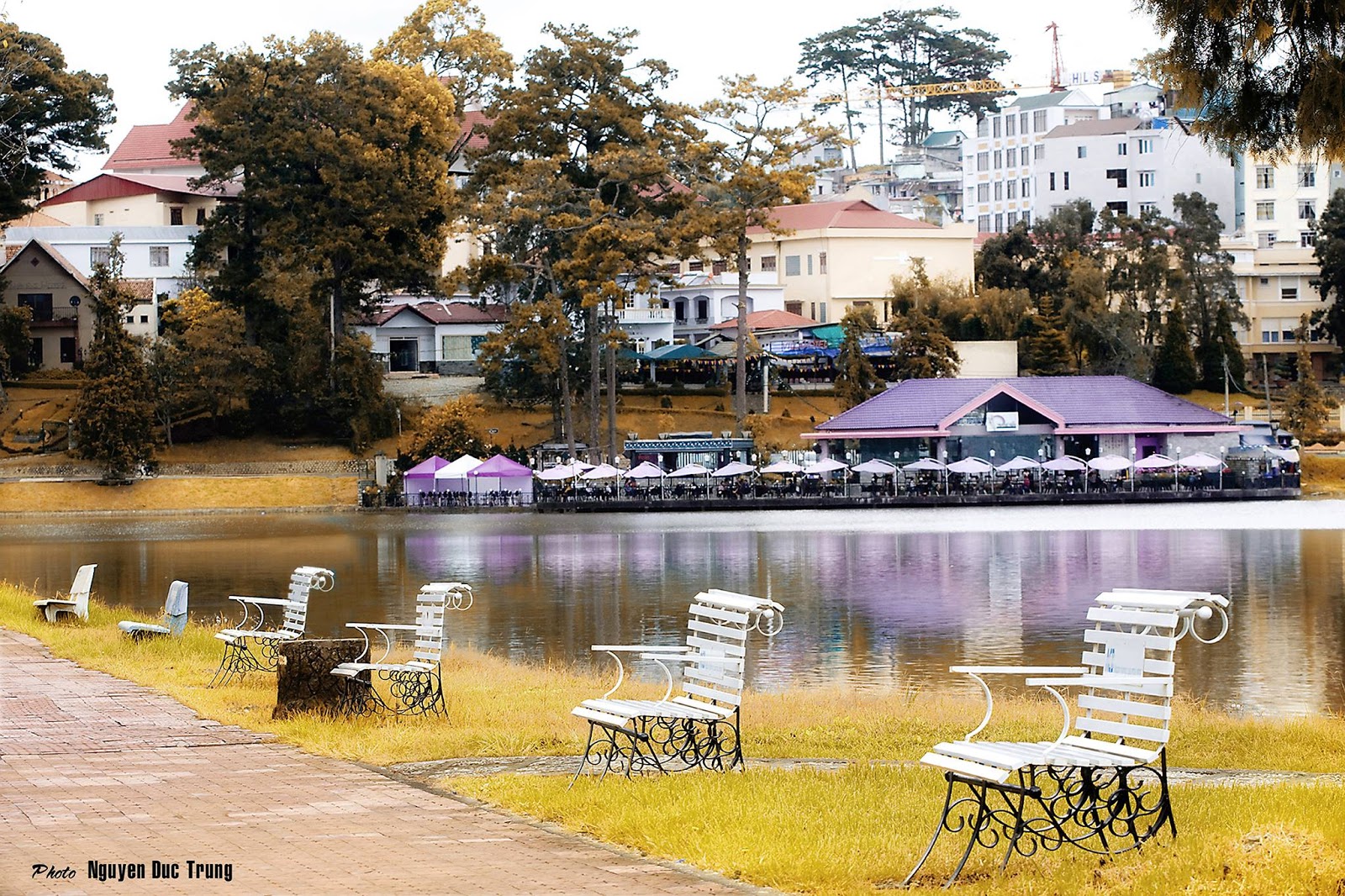 Những điều Hay Ho Về Đà Lạt Và Con Người Nơi đây Kỳ 3 Thông Tin Đà Lạt