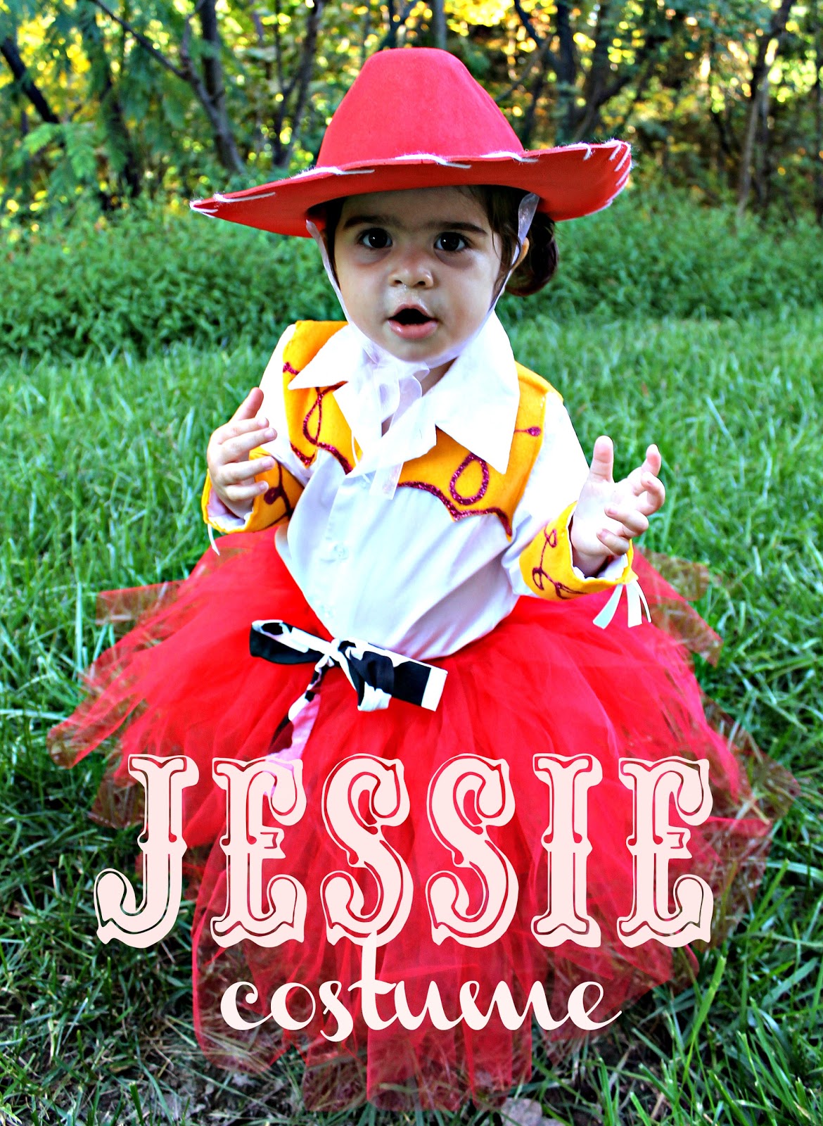 Destination: Craft: Jessie the Cowgirl Costume