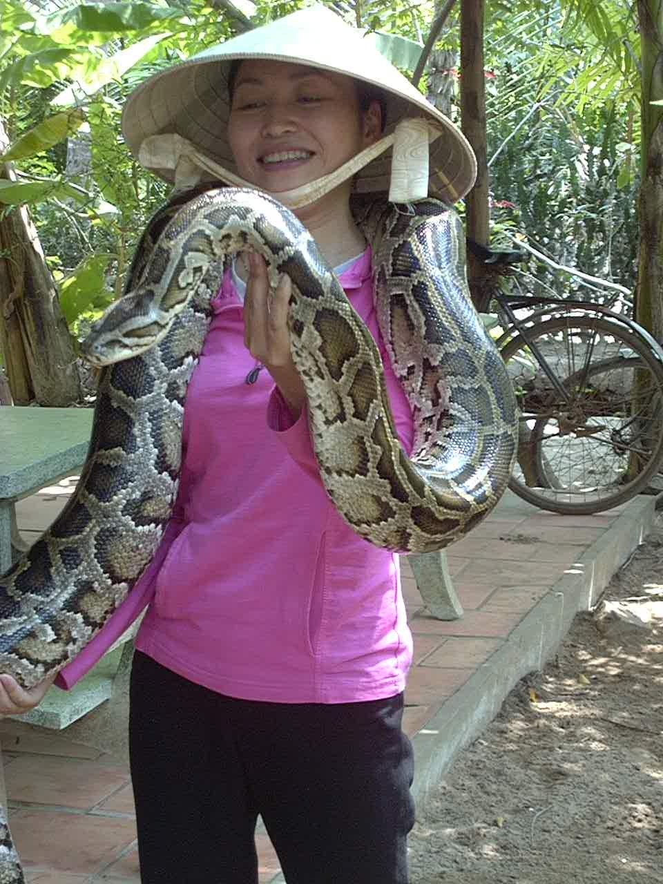 Guacamole Gulch: Snake in the Grove