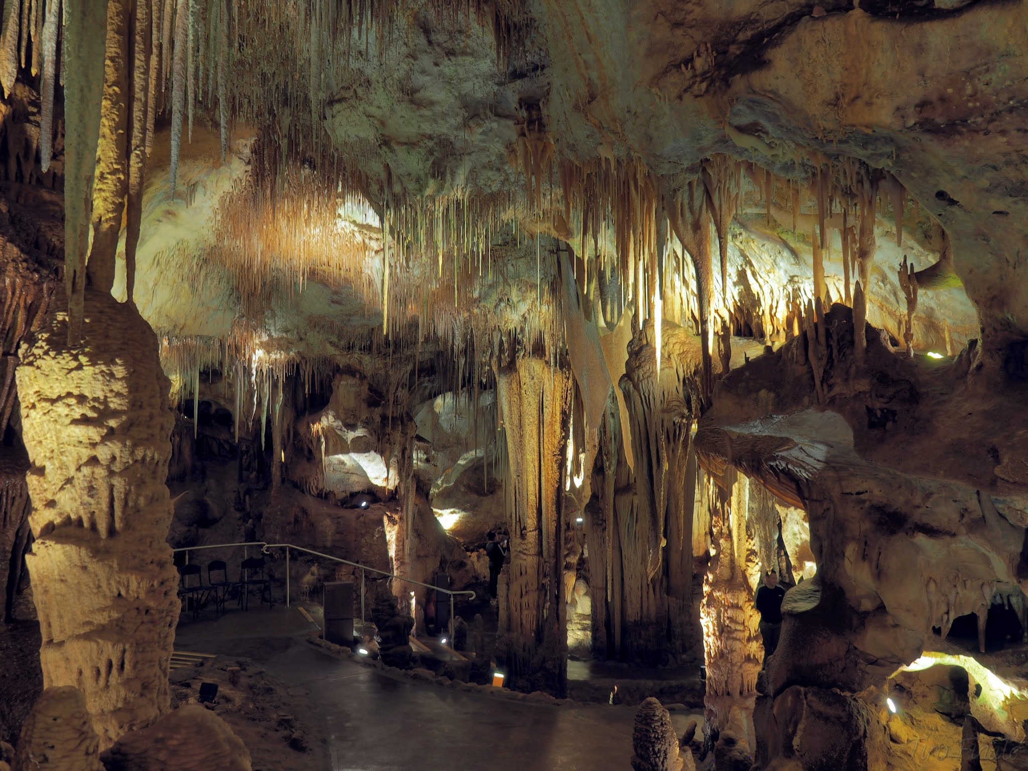 Travelog: The Tantanoola Caves