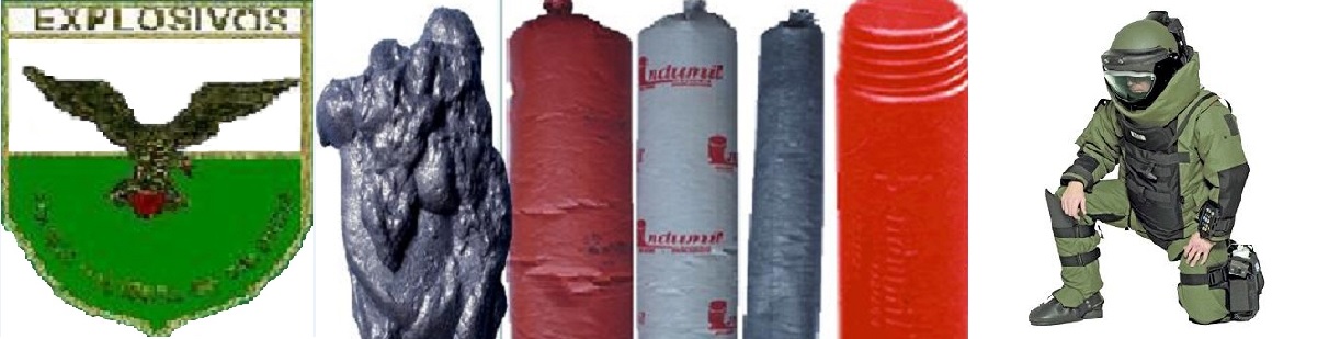 PERITO EN EXPLOSIVOS