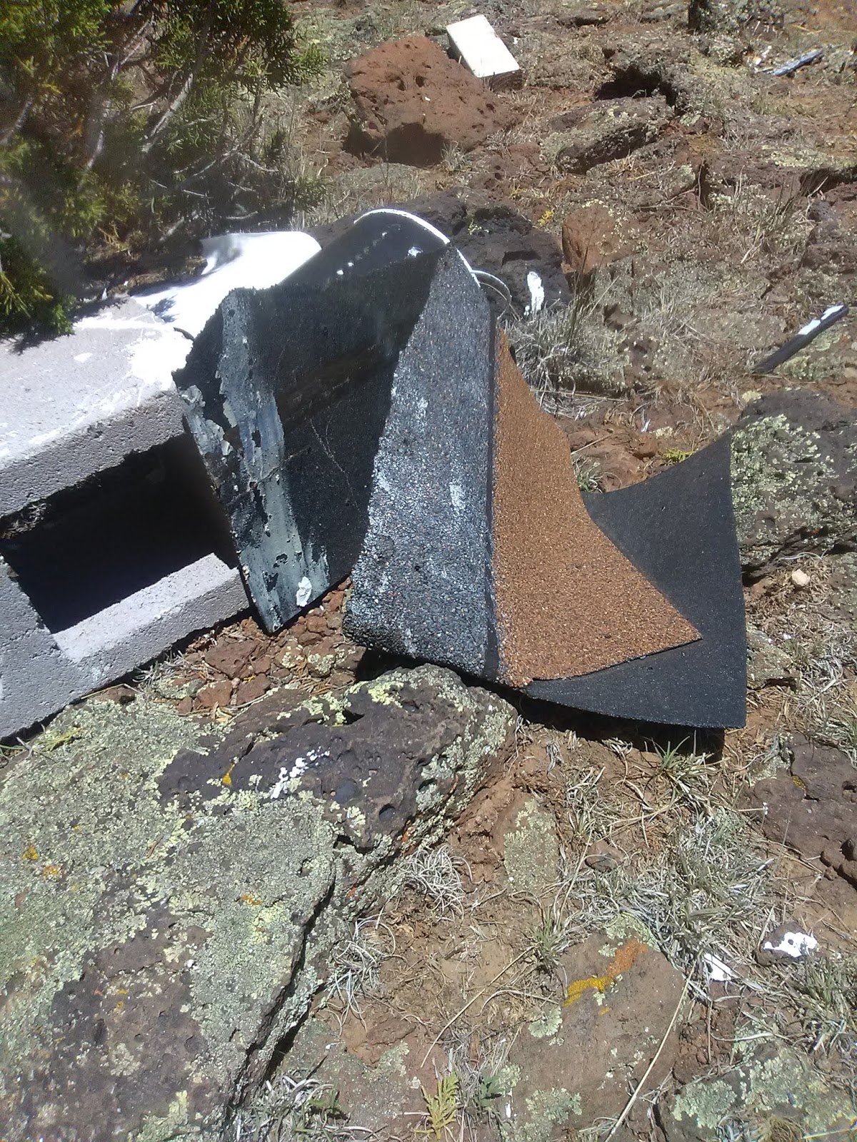 Lee Craven: Lee Craven (Arizona) Overview of Who He is and Some Damages ...