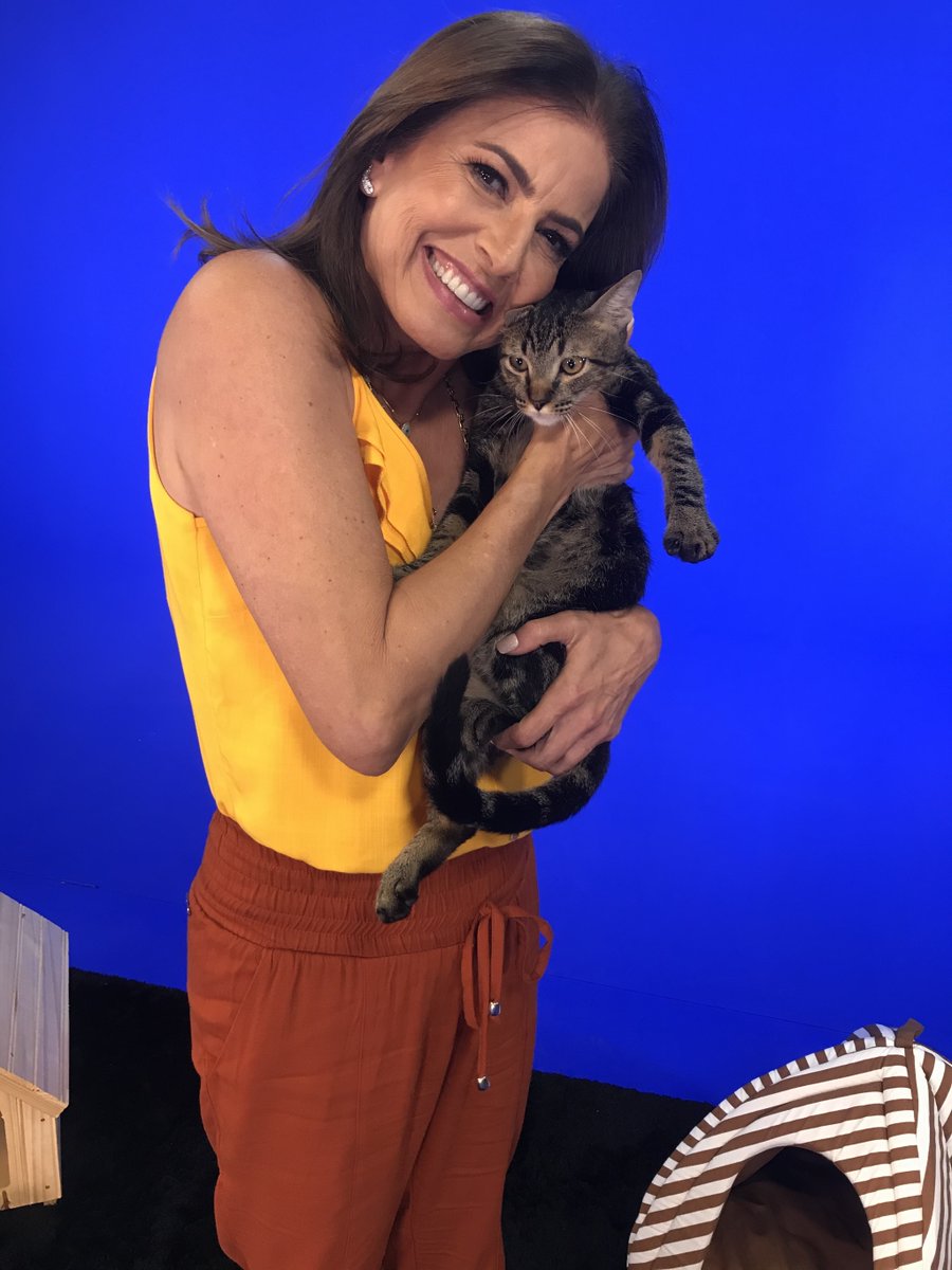 A Bela do Domingo: Débora Meneses