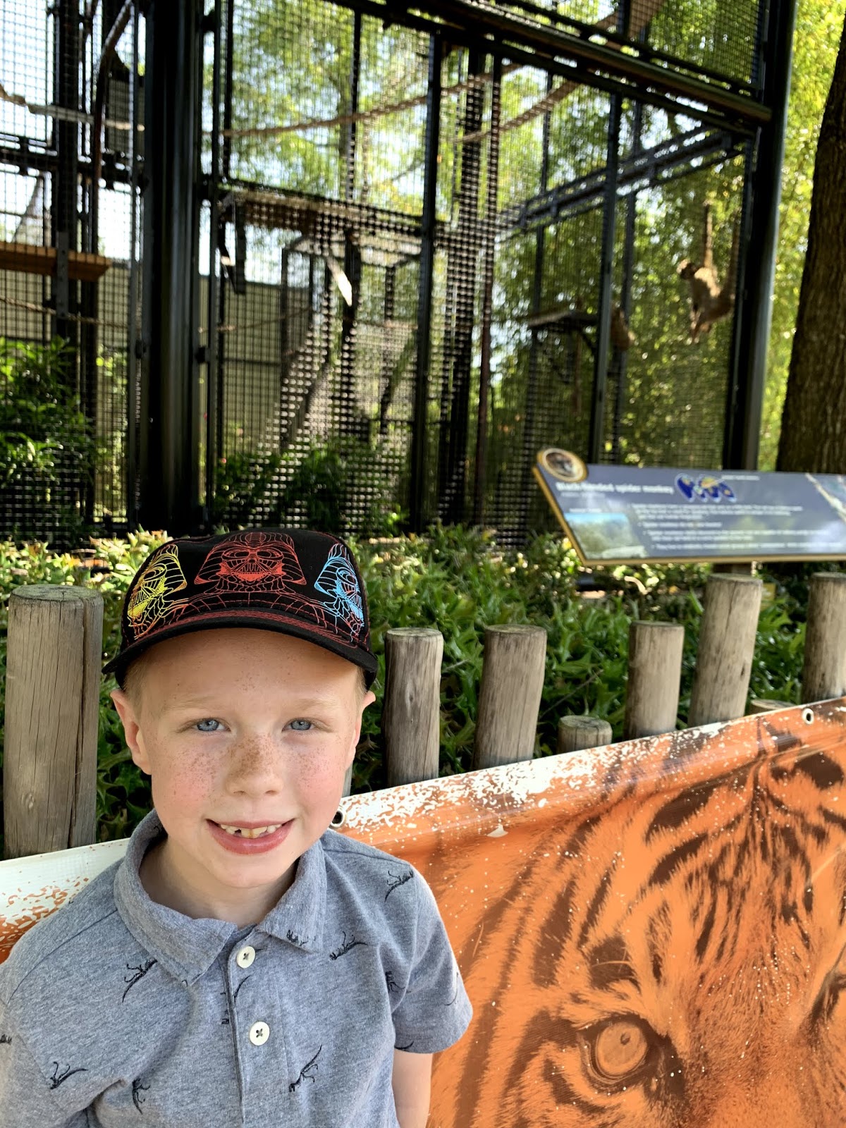 Welcome to the Krazy Kingdom: Birmingham Zoo