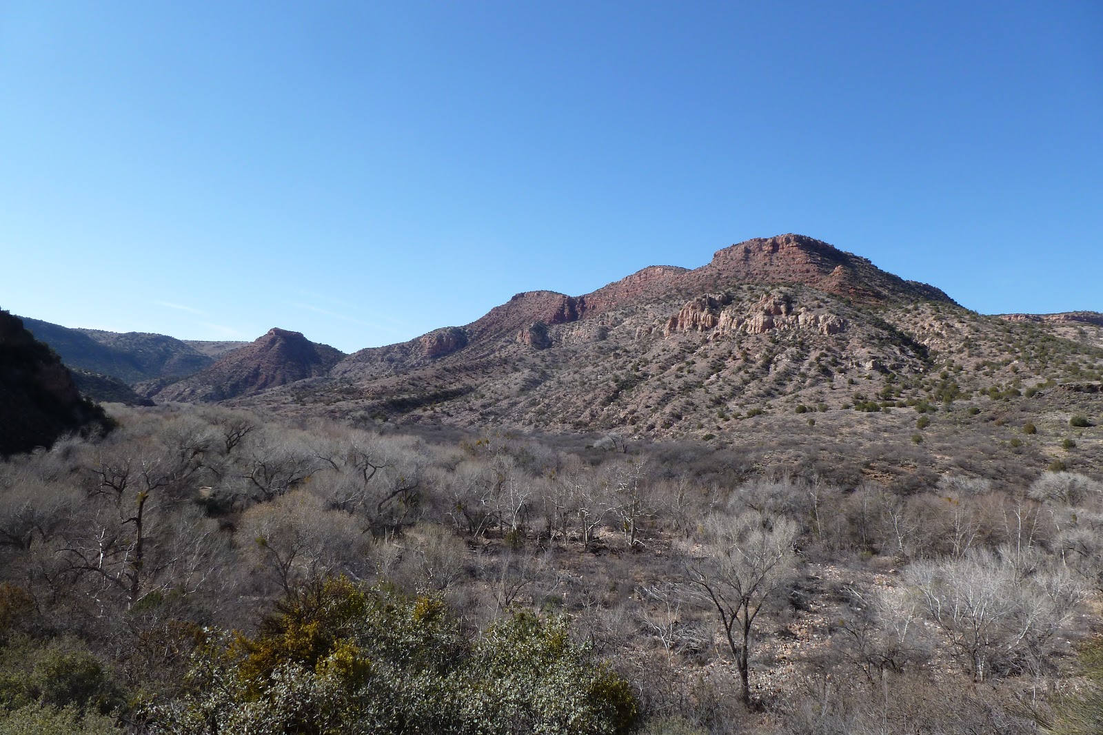 The Continuing Adventures of Eric, Noelle and Sierra: Coconino National ...
