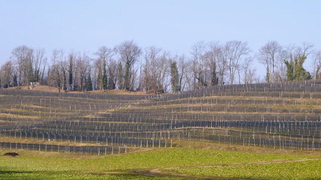 Stabio – Sta Margherita – Casanova Lanza – Pignora – Balerna (TI / IT ...