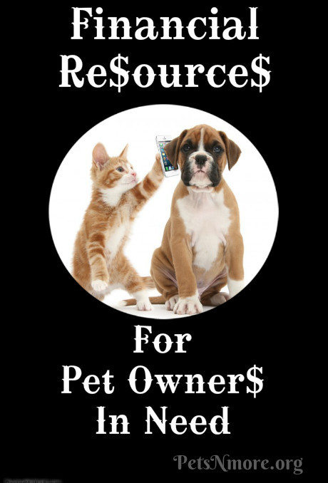 Pets N More: Financial Resources For Pet Owners In Need