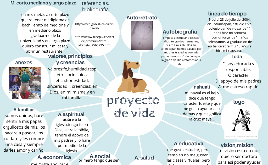 MAPA MENTAL DE PROYECTO DE VIDA Y CRONOGRAMA