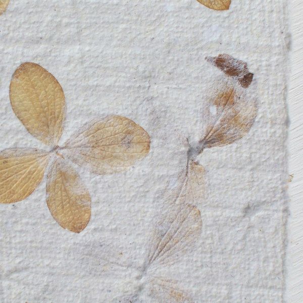 Surprisingly Elegant Handmade Paper Designs from Paperuli