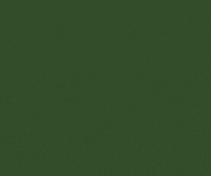 Vanessa Soares - Musa do Brasiliense | Brazilian Woman | Beautiful ...