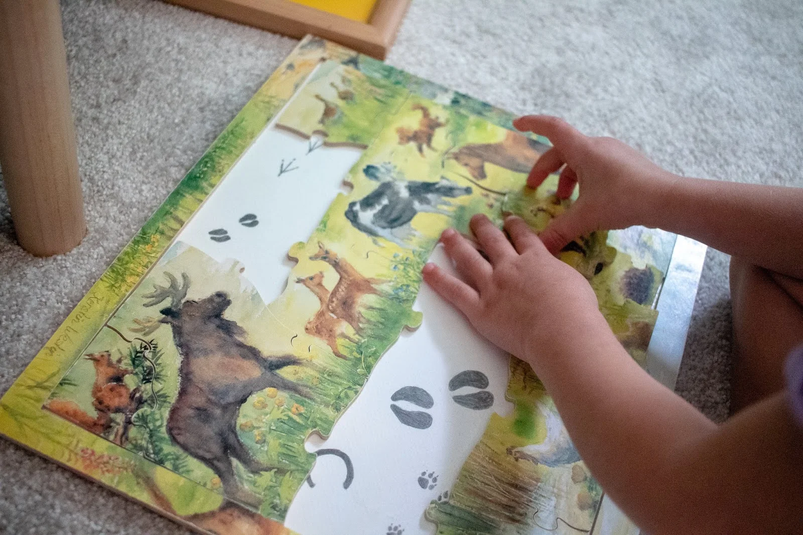 Puzzles for Preschoolers
